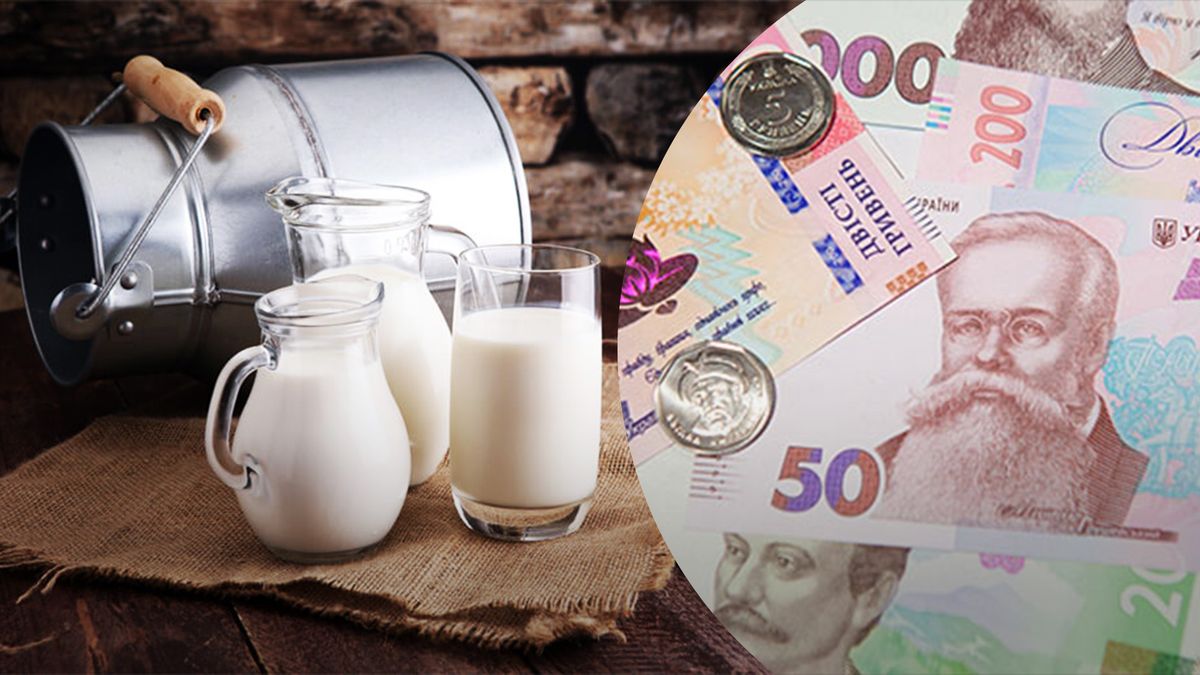 Какая цена на молоко - как изменятся цены летом 2024 - Агро